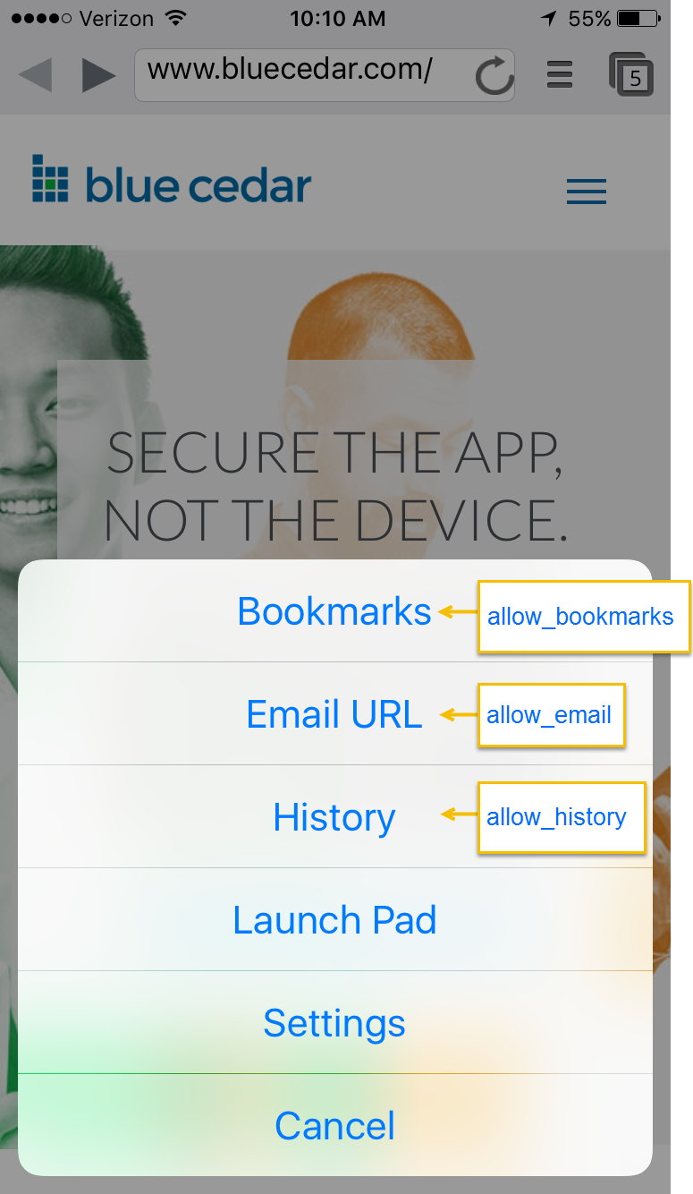 The mobile user's experience on the Compass Browser
