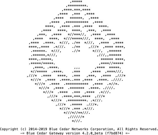 Customizing login banners and prompts